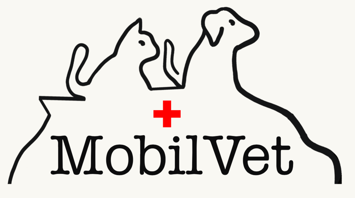 MobilVet | CAMVET
